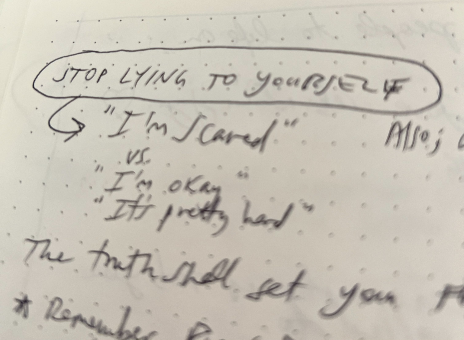 Stop Lying To Yourself Shawn Ellis